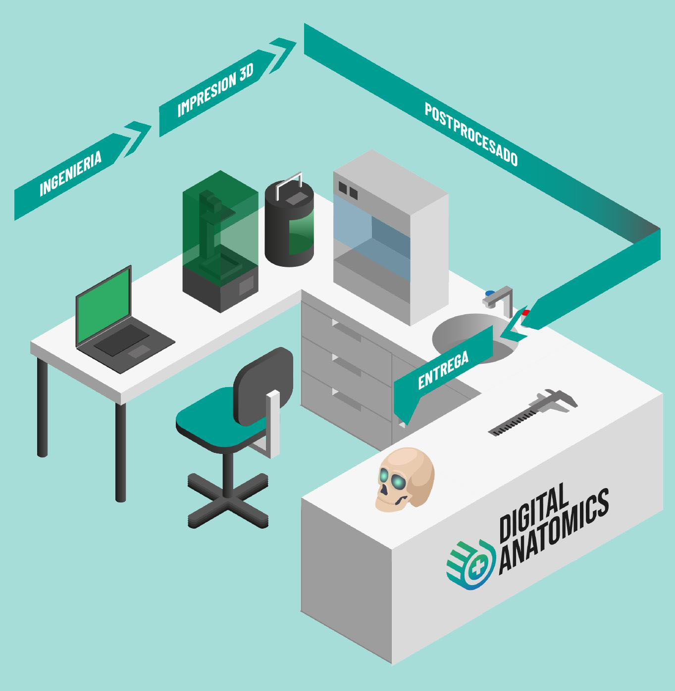 Digital Anatomics | 3D Medical printing